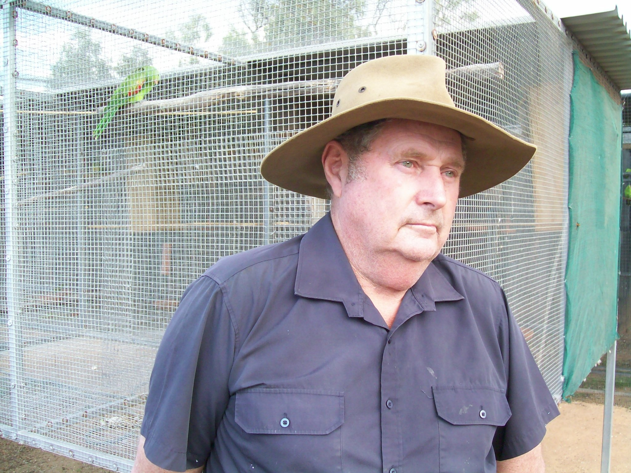 Walter to appear on October 30 to face assault charges laid by court ...