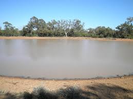 Qld Govt says it owns rainfall once it hits the ground on your property ...