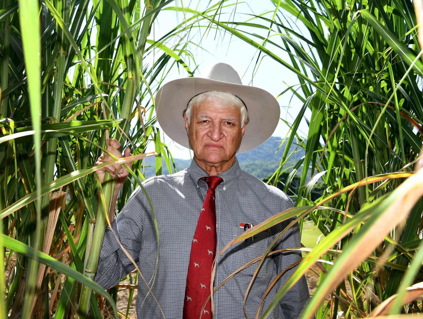 Katter calls for more truck drivers to help sugar mills and farmers get ...